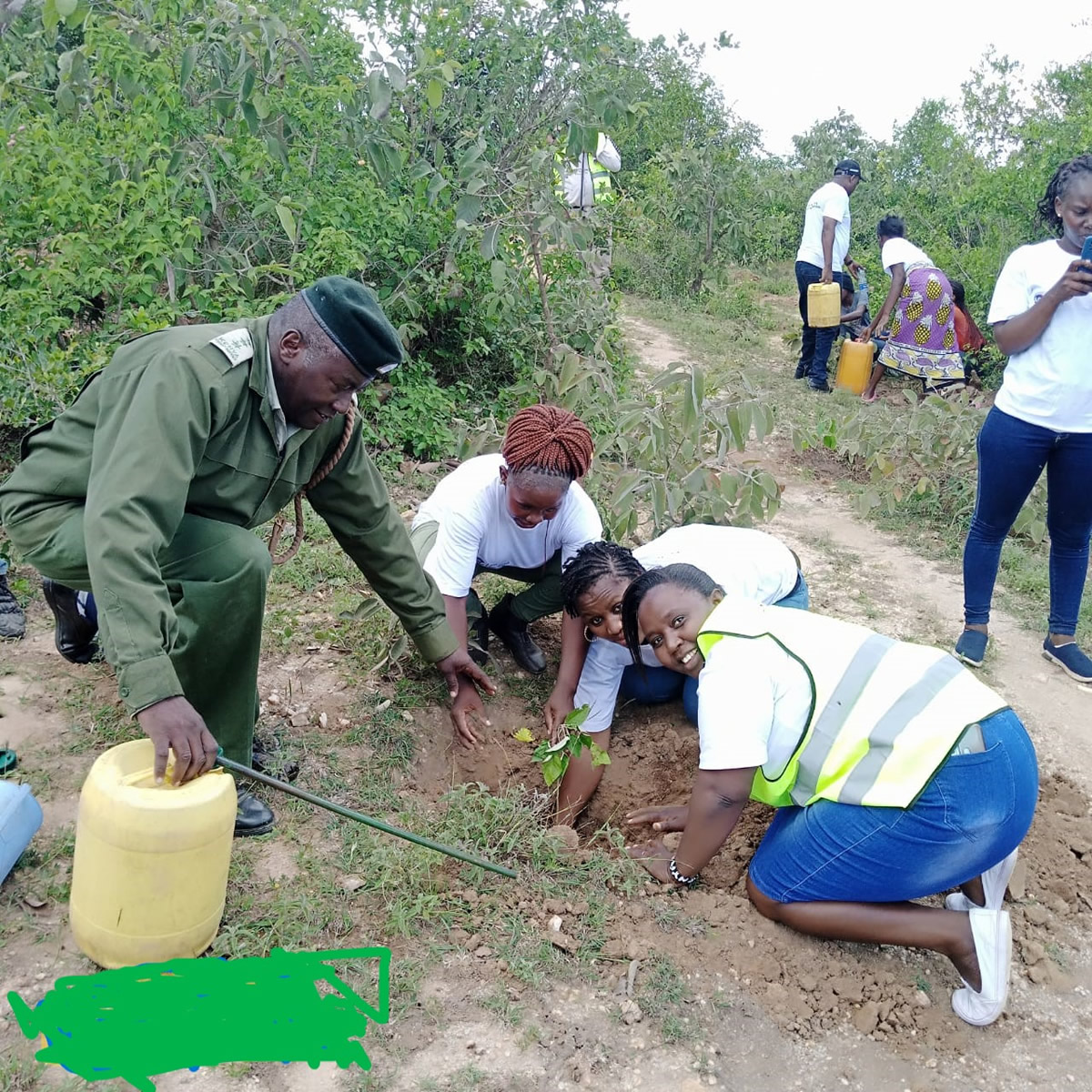 15 Billion Tree Target: ACA Embarks on Tree Planting Campaign in ...